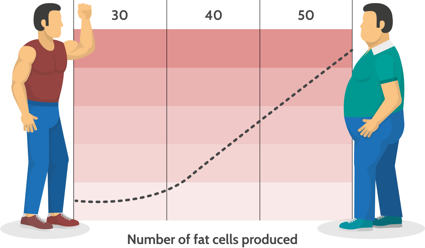 ultimate-weight-control – Beyond Alpha